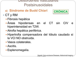 Enfermedad vascular y trastornos de perfusión del hígado | PPTX