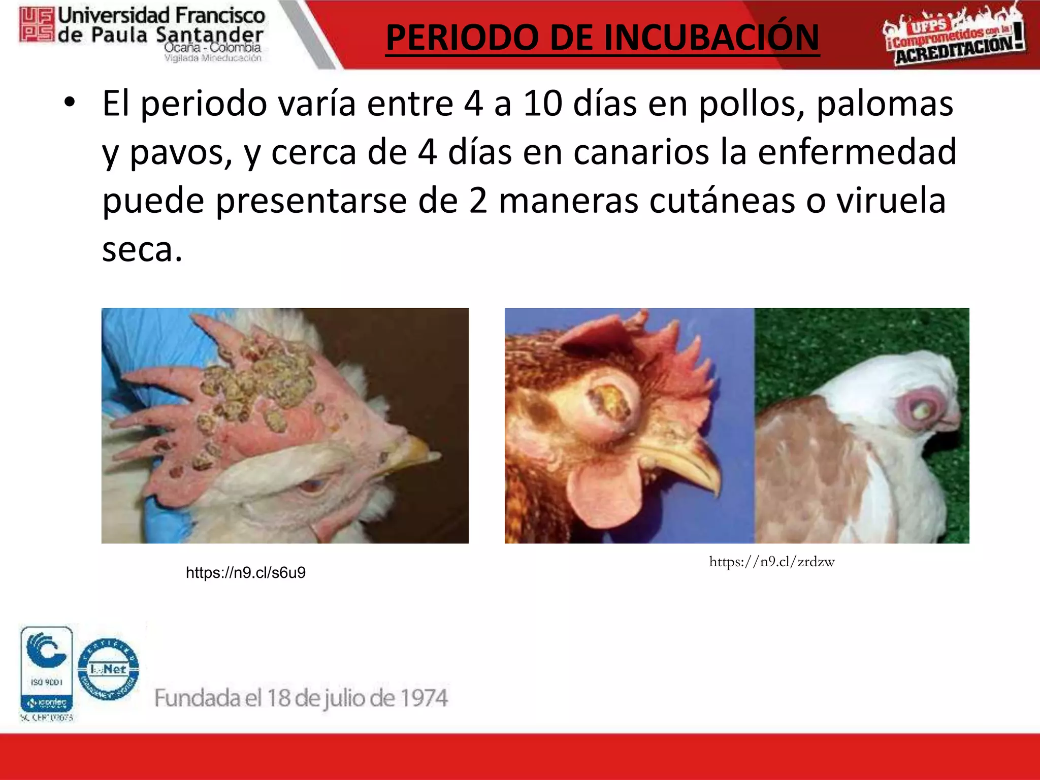 Enfermedad viruela aviar | PPT