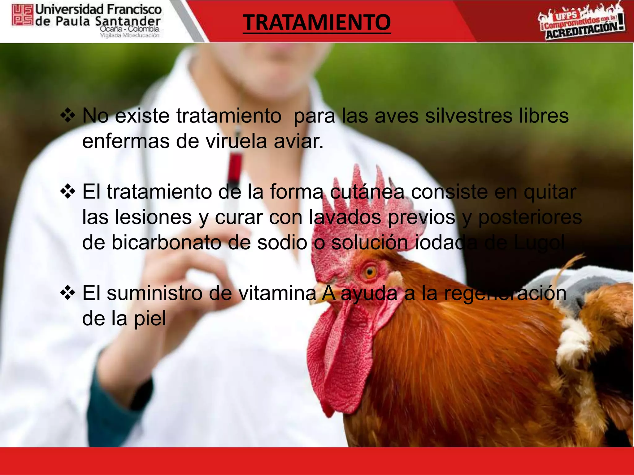 Enfermedad viruela aviar | PPT
