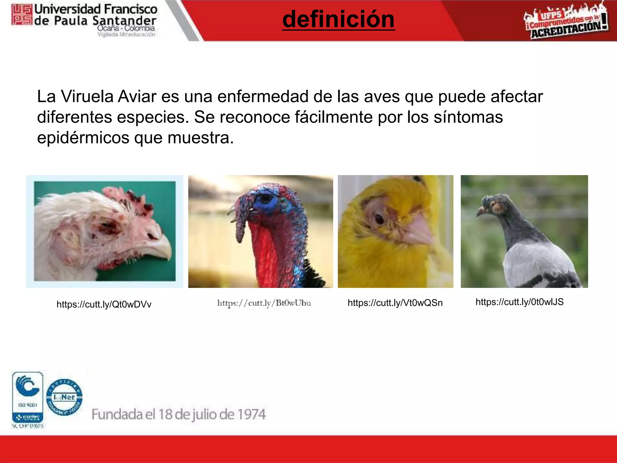 Enfermedad viruela aviar | PPT