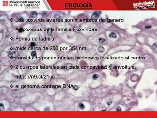 Enfermedad viruela aviar | PPTX