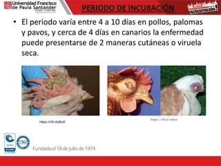 Enfermedad viruela aviar | PPTX