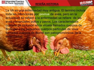 Enfermedad viruela aviar | PPTX