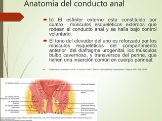 enfermedad hermorroidal | PPTX