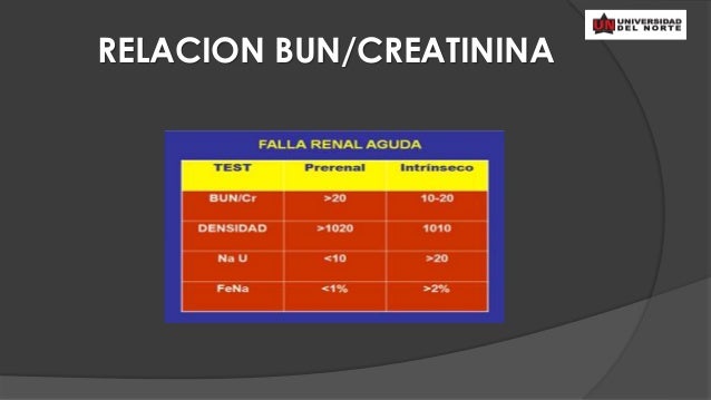 Enfoque del paciente con enfermedad renal