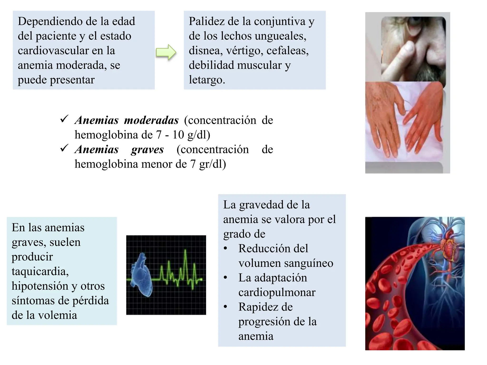 ENFOQUE DX DE LAS ANEMIAS (corregido) (2).pptx