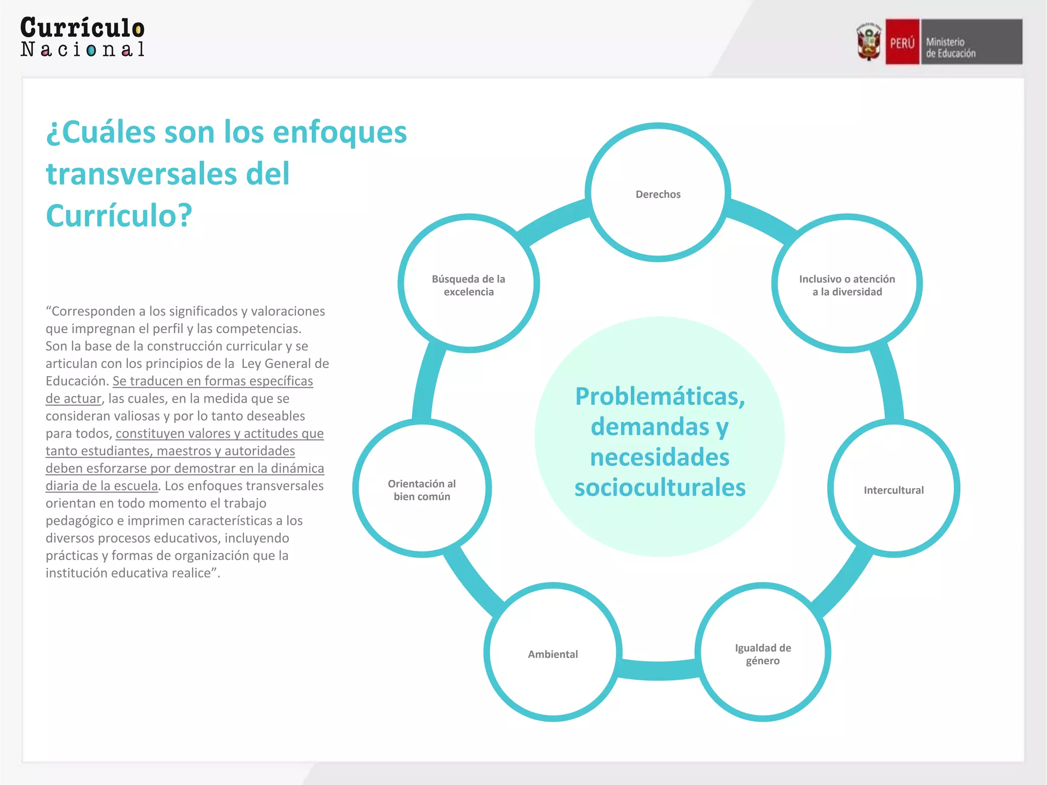 Enfoques transversales y metodología para desarrollar competencias ...
