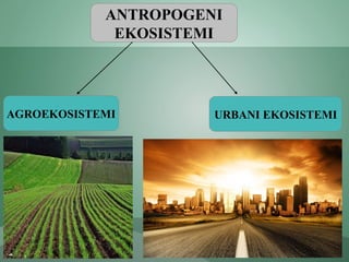 Antropogeni ekosistemi: agroekosistemi | PPT