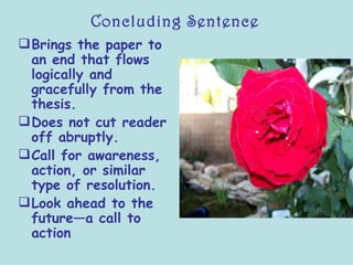 Eng. 091 the argument paper copy-1(2) | PPT