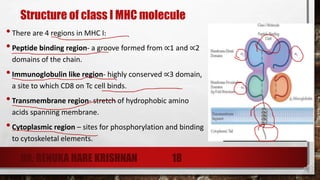 Eng. major histocompatibility complex | PPT