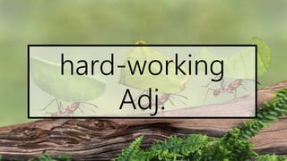 English hidden meaning vocabulary | PPT