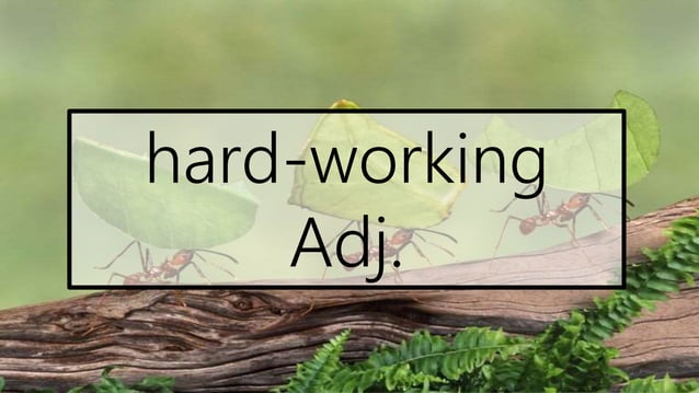 English hidden meaning vocabulary | PPT