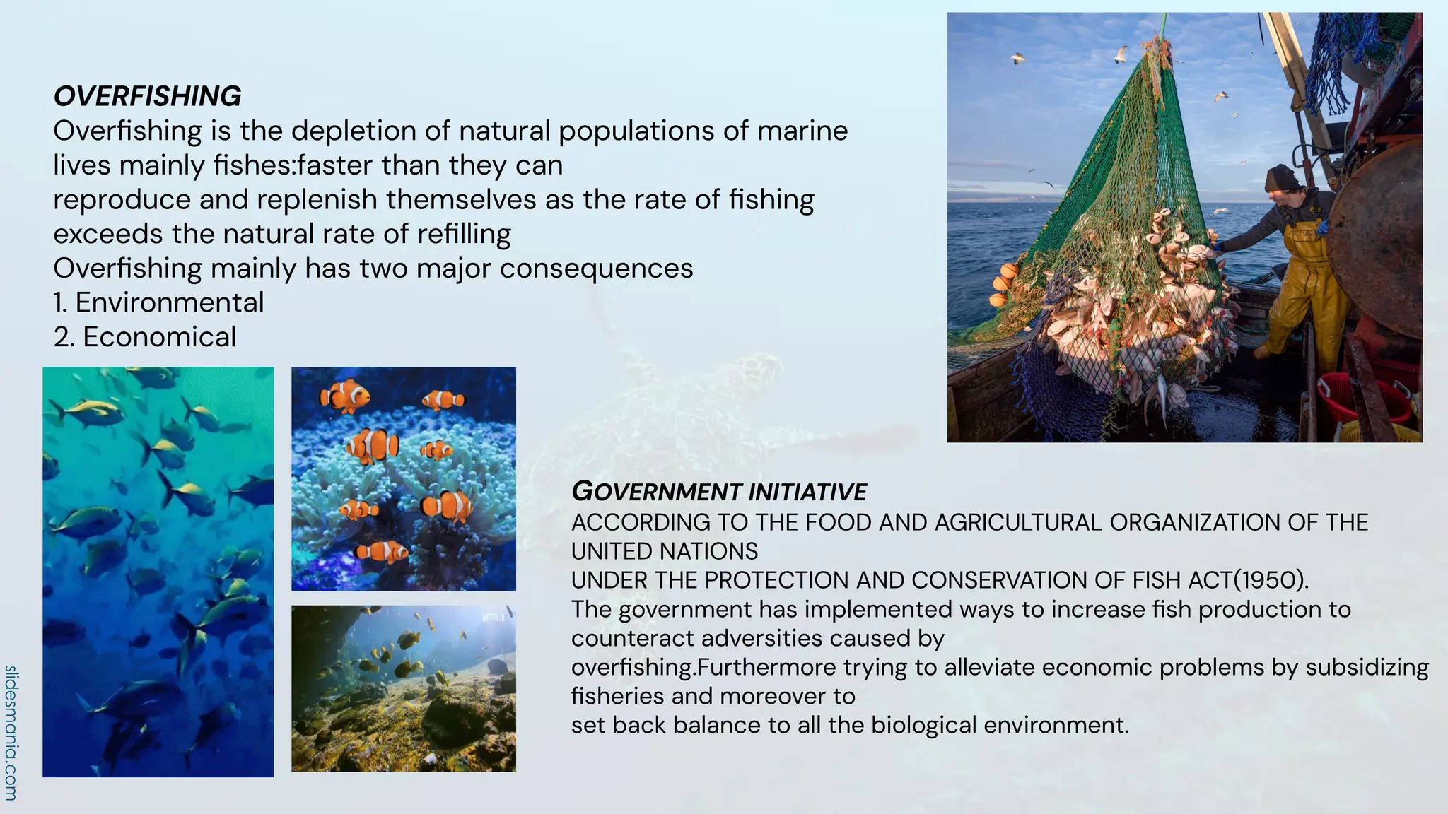 SUSTAINABLE DEVELOPMENT GOAL 14LIFE BELOW WATER (SDG 14) Brac ...