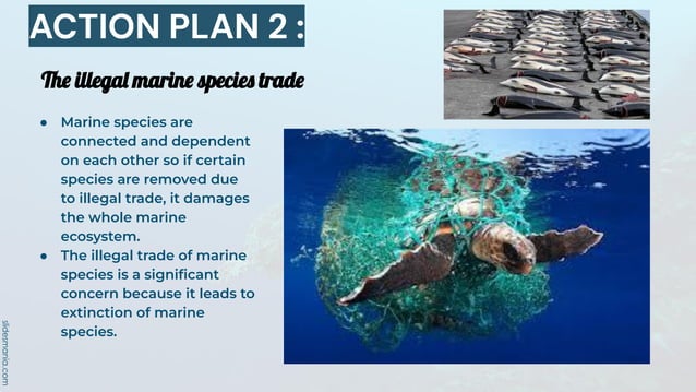 SUSTAINABLE DEVELOPMENT GOAL 14LIFE BELOW WATER (SDG 14) Brac ...