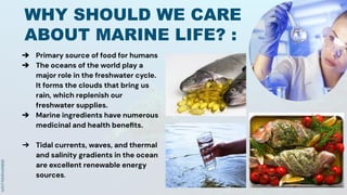 SUSTAINABLE DEVELOPMENT GOAL 14LIFE BELOW WATER (SDG 14) Brac ...