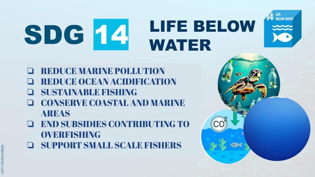 SUSTAINABLE DEVELOPMENT GOAL 14LIFE BELOW WATER (SDG 14) Brac ...