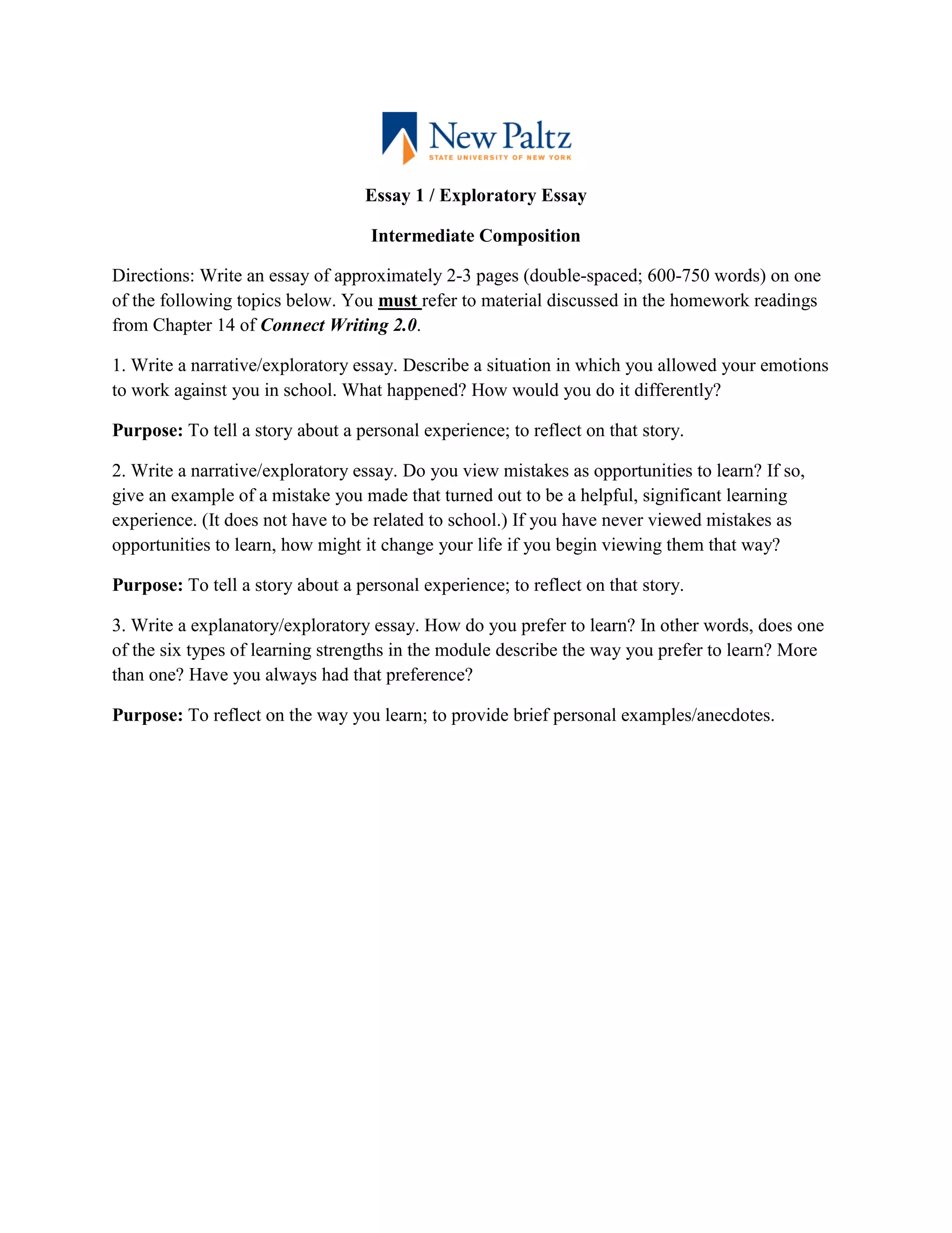 ENG207 Intermediate Composition Essay 1 Directions Prof Rigolino | PDF