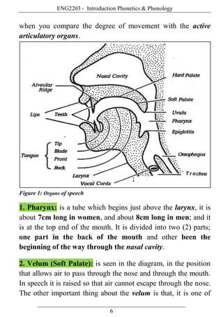 ENG2203 - Introduction to Phonetics and Phonology vi vi.pdf