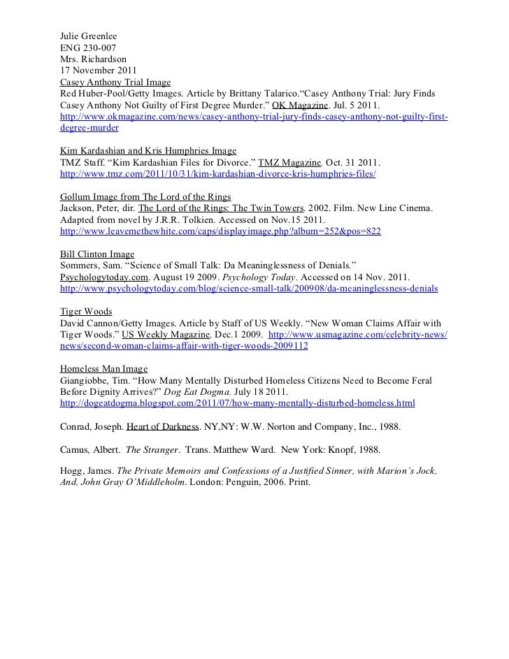 Eng230 multimedia project essay