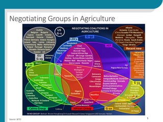State of Play of WTO negotiations – MC11 | PDF