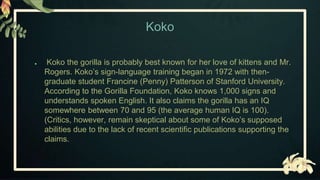 ENG 58 PPT ANIMAL EXPIREMENT for education .pptx