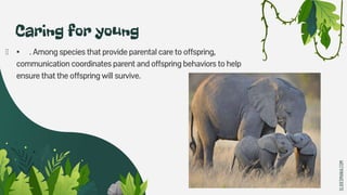 ENG 58 PPT ANIMAL LANGUAGE.pptx