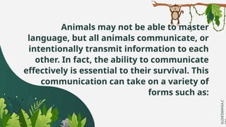 ENG 58 PPT ANIMAL LANGUAGEsssssssss.pptx
