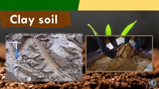 Science_4-Quarter_4-_Week_1-_Types_of_Soil.pptx