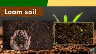 Science_4-Quarter_4-_Week_1-_Types_of_Soil.pptx