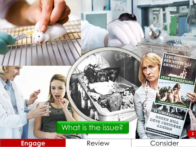 Fire emblem engage animal drops - gotglop