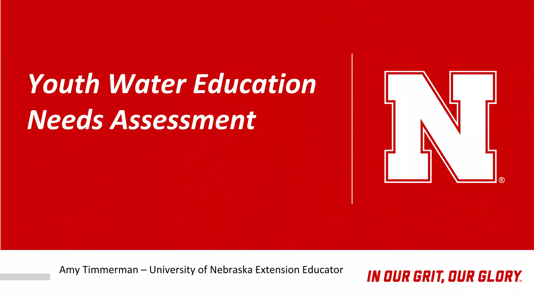 Engaging Next Generation WS - Amy Timmerman | PPT | Free Download