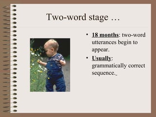 Language Acquisition: Lecture 4 Grammatical Development 1 | PPT