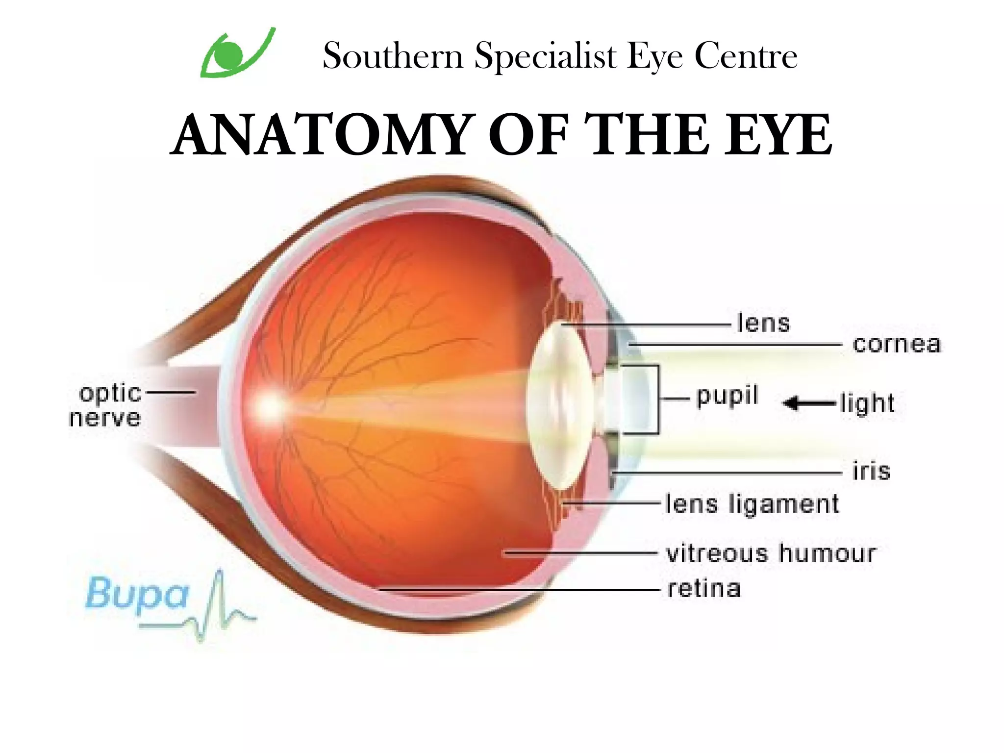 Eng cataract counselling ssec | PPT | Eye and Vision Conditions ...