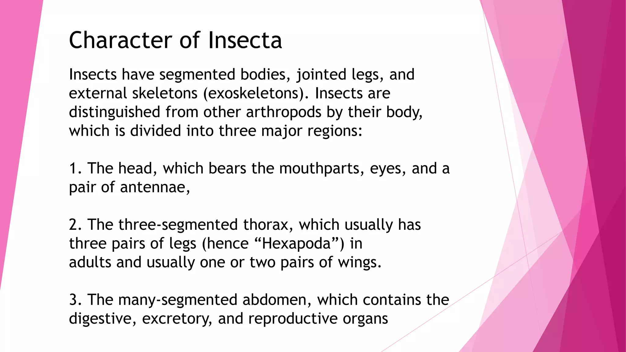 Character of insecta | PPTX