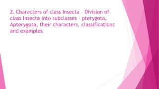 Character of insecta | PPT