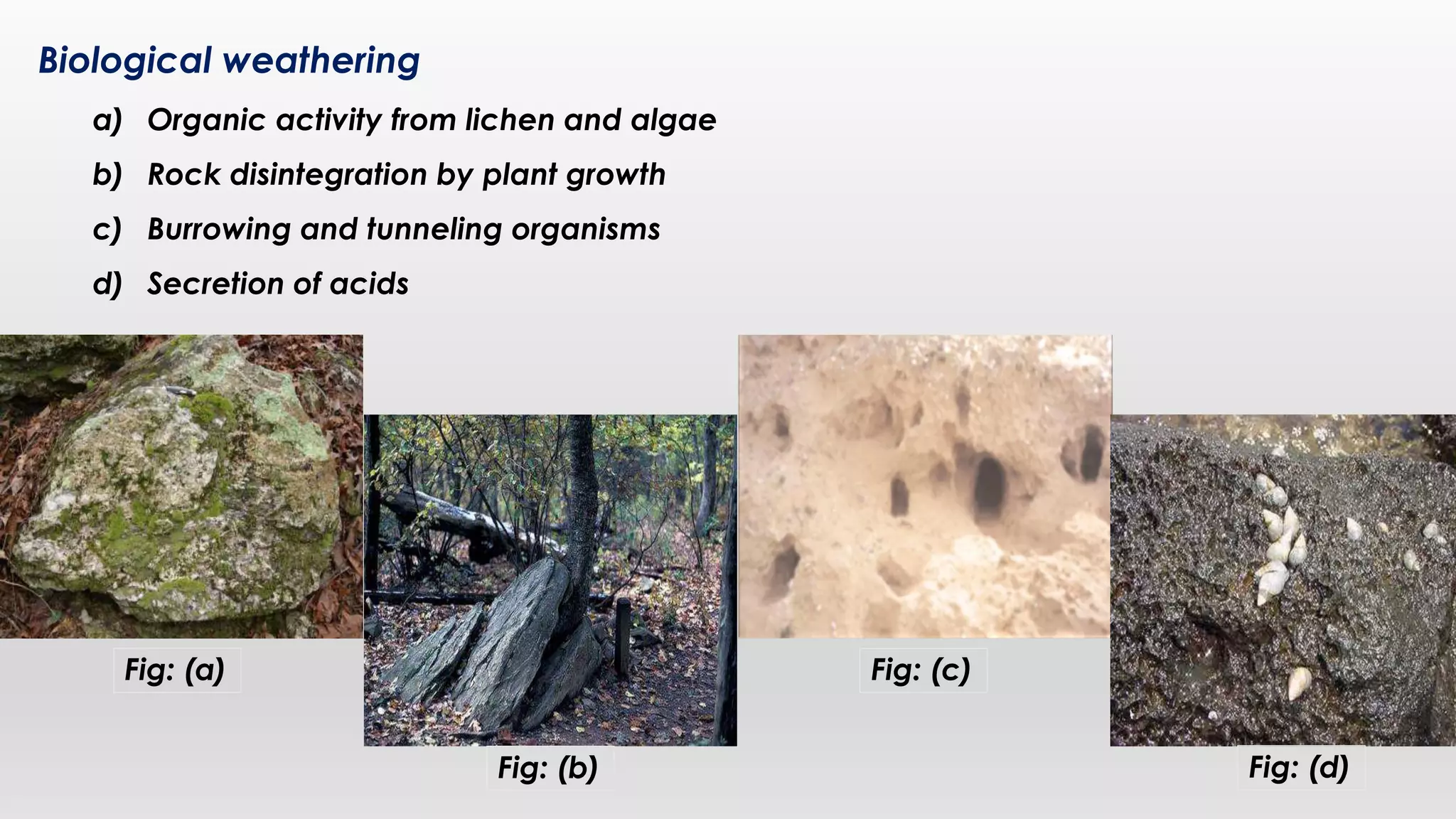 Weathering and Erosion_Engineering Geology & Geomorphology | PDF