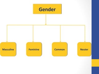 Gender and types-English Grammar | PDF