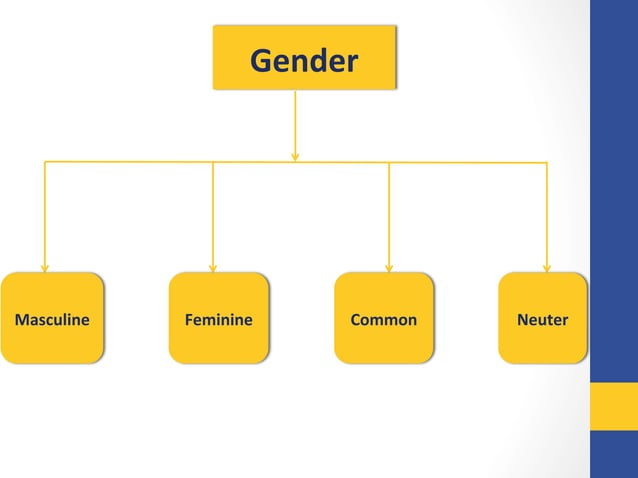 Gender and types-English Grammar | PDF