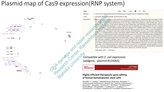 Engineered cas9 | PPT