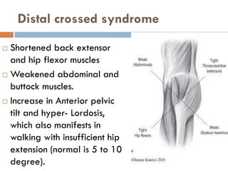 Engineering Approaches to standing sitting and lying-converted (1).pdf