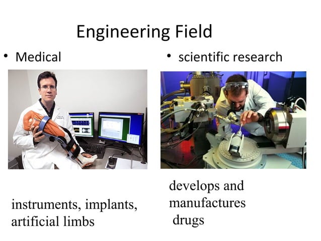 Engineering career choices | PPT | Business | Business and Finance