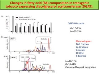 Engineering fatty acid biosynthesis | PPTX