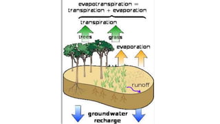 Engineering Irrigation Ch.2 Water Requirement of crops and soil-water ...