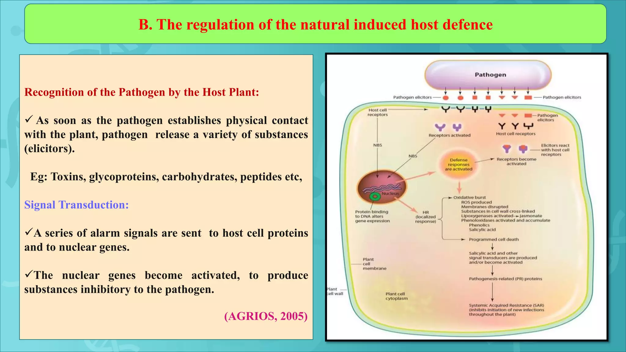 Engineering pathogen resistance in crop plants current trends and ...