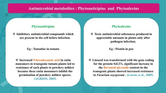 Engineering pathogen resistance in crop plants current trends and ...