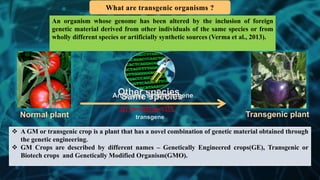 Engineering pathogen resistance in crop plants current trends and ...