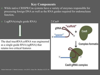 Engineering plant immunity using crispr cas9 to generate virus resistance | PPT