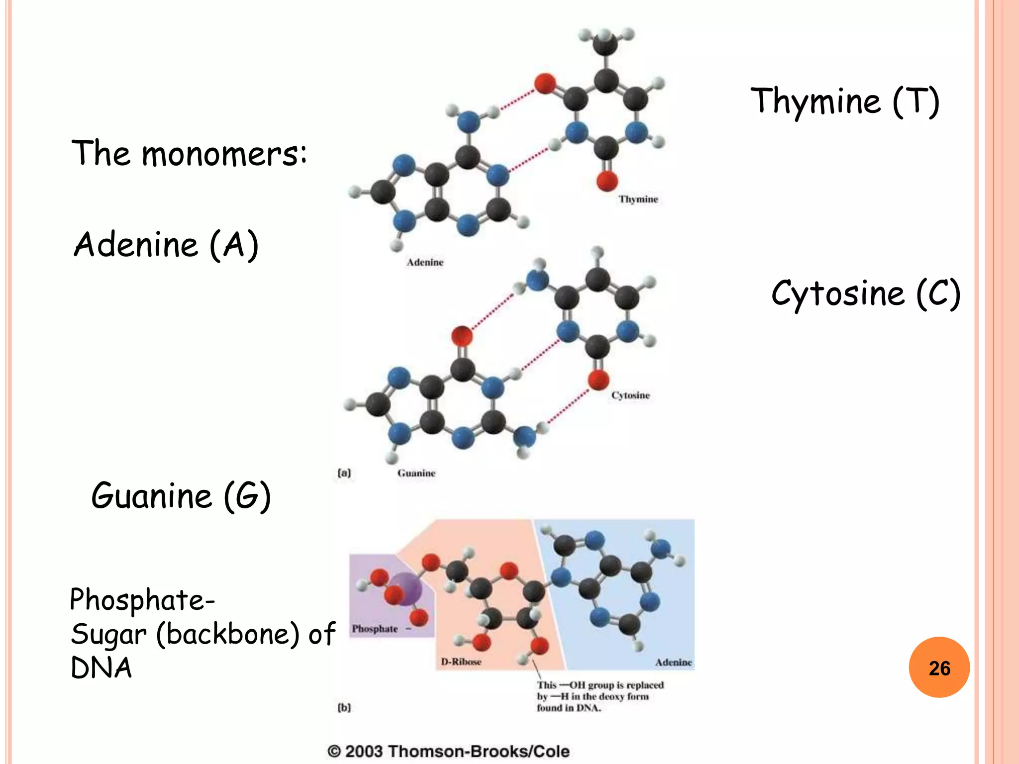 Engineering polymers | PPTX