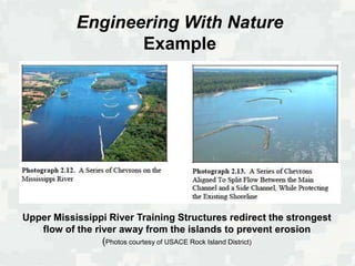 Engineering with Nature | PPTX