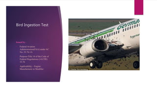 Engine Ingestion Test | PPTX